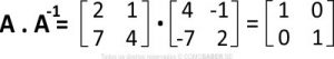 Como calcular matriz inversa + 2 exemplos resolvidos