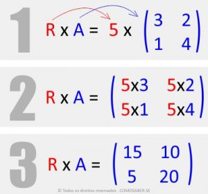 Multiplicação de Matrizes 2 Exemplos resolvido passo a passo